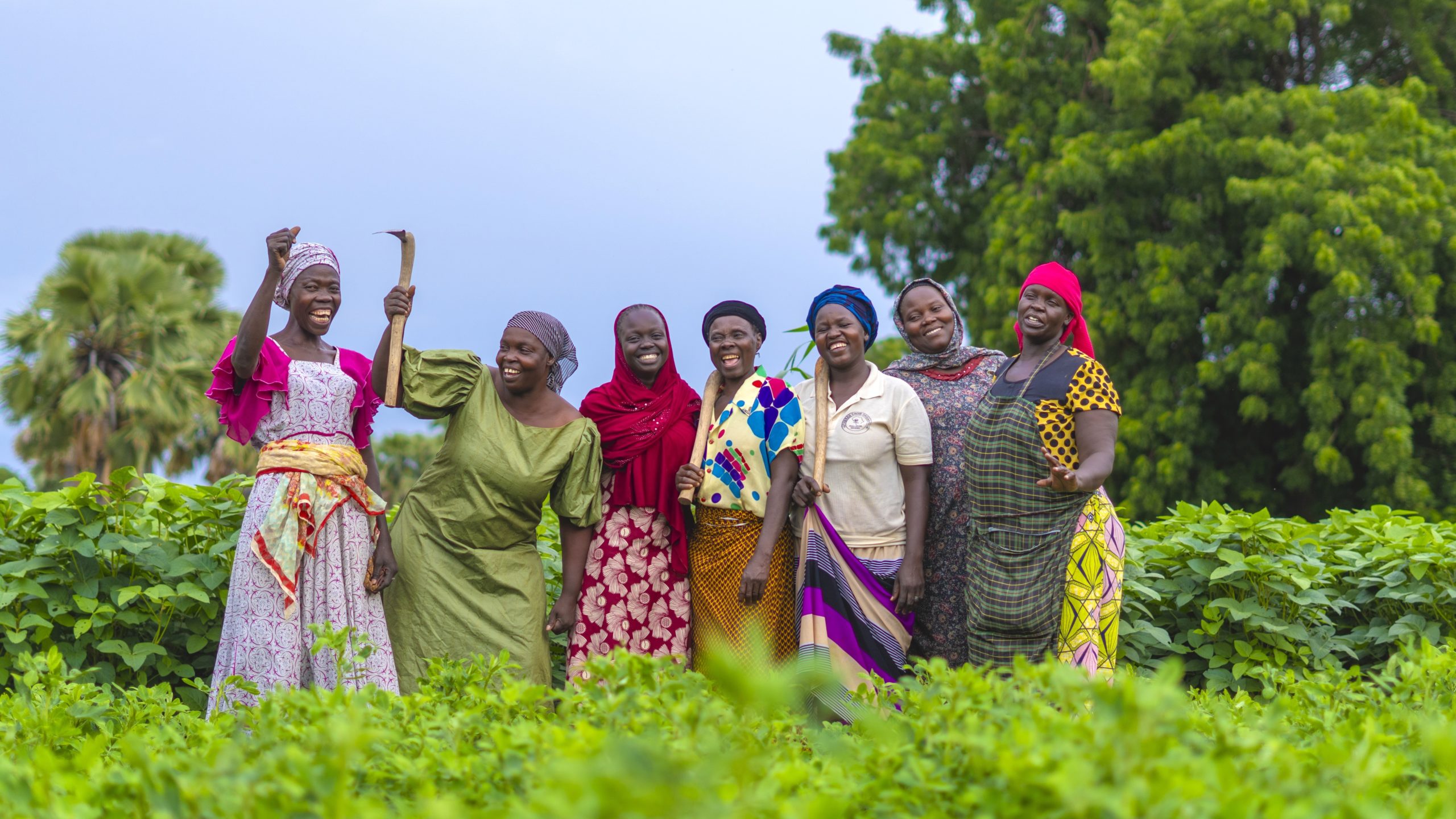 About – AFRIYIELDPRO COMPANY